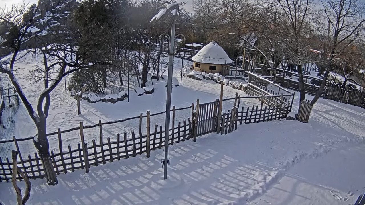Savanna, Budapest Zoo - Webcam Live Stream