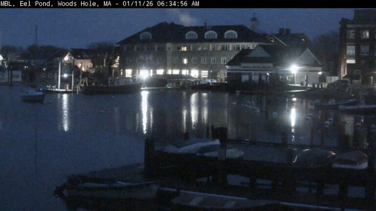 Massachusetts - Webcam Live Stream