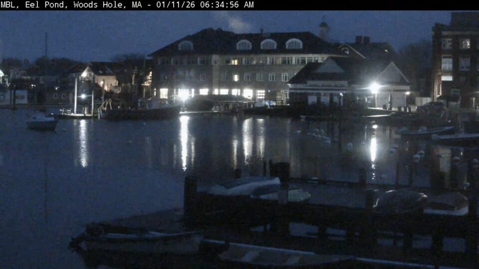 Massachusetts - Webcam Live Stream