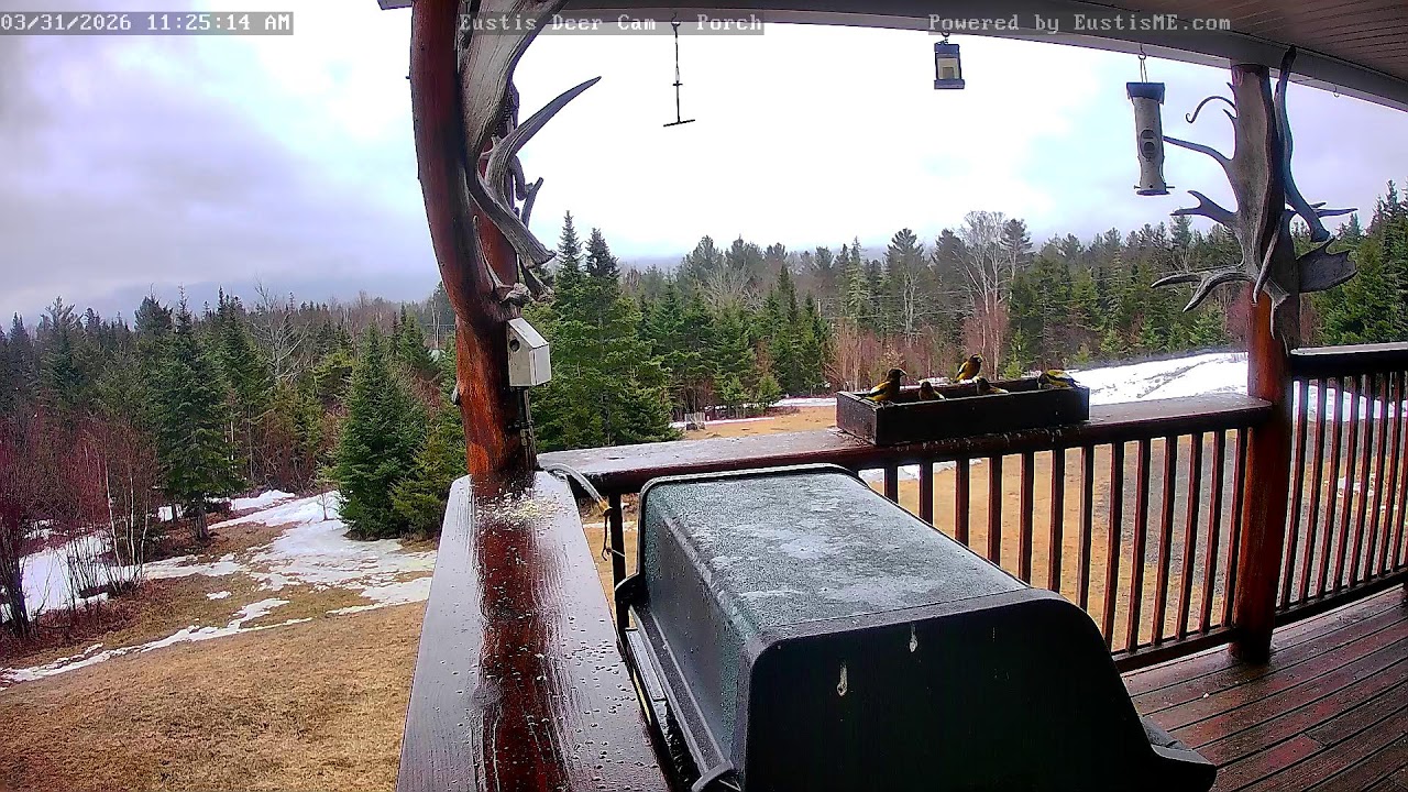Birches Resort Cam, Maine - Webcam Live Stream